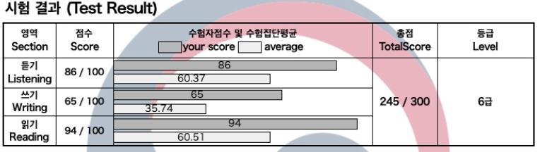 独学でTOPIK6級に合格しました！【勉強法や合格点、今後の目標も】 | 推しと話したい韓国語